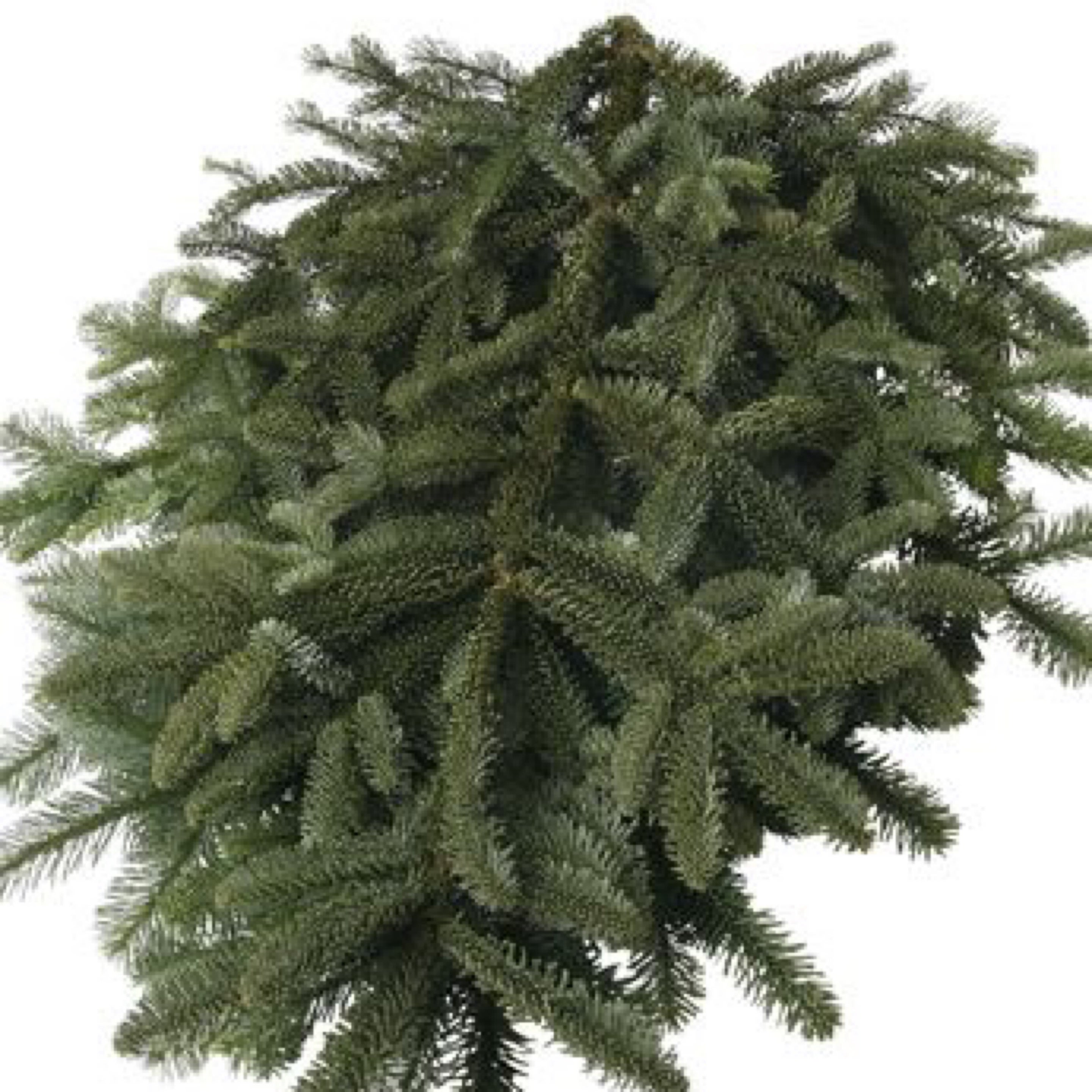Wintergreen Bale 25# | Scheiderer Farms Garden Center
