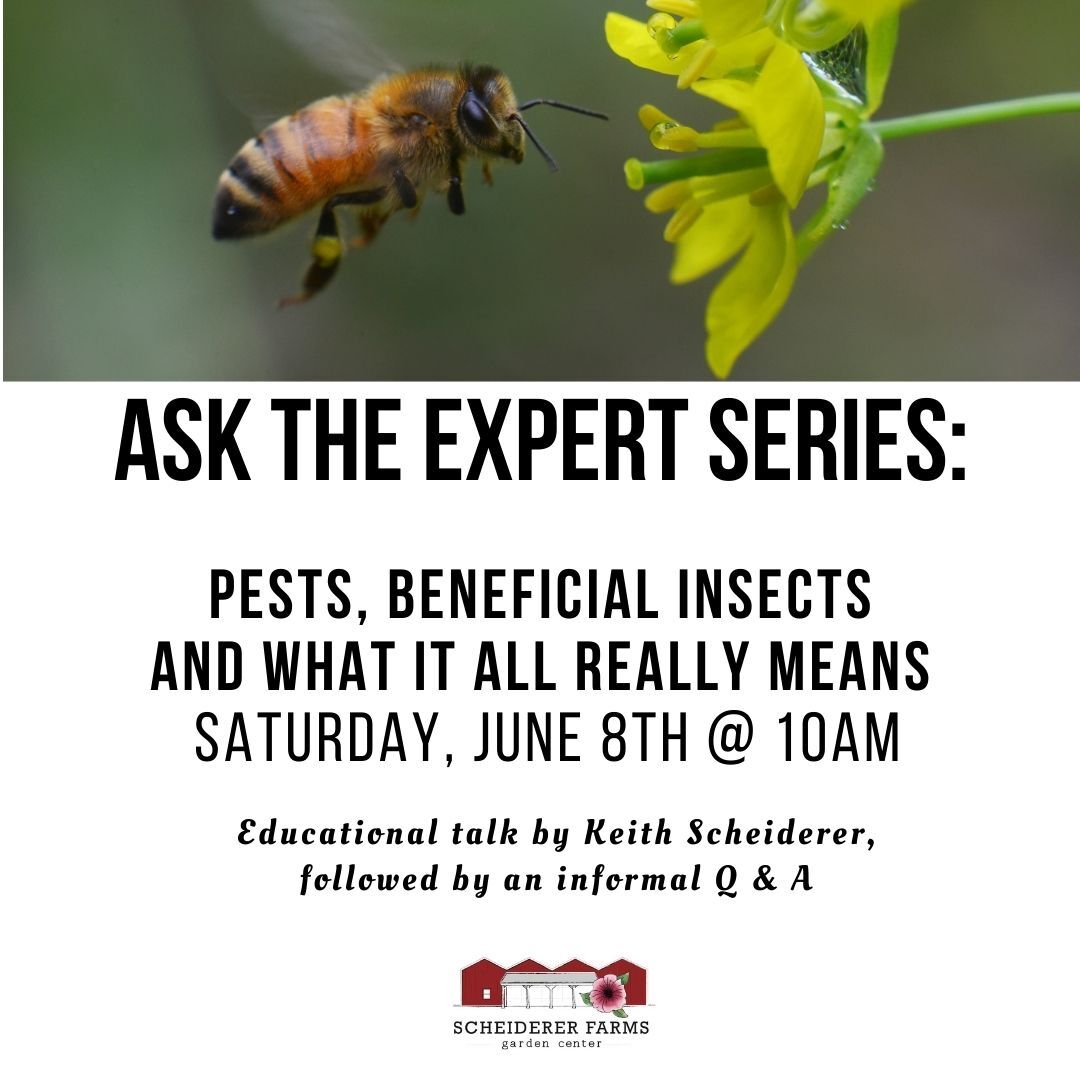 Ask The Expert Series: "Pests, beneficial insects and what it all ...